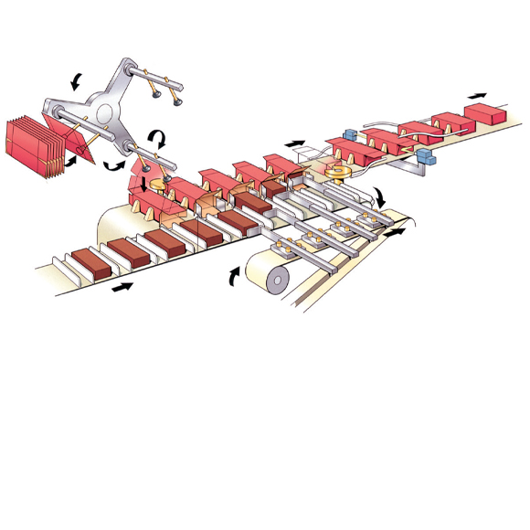 End Load Cartoning - Bradman Lake