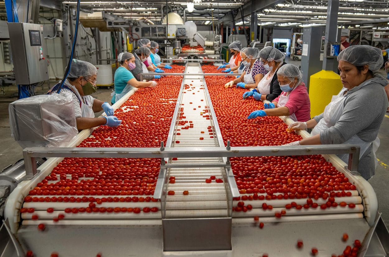 Manual Feeding Systems - Bradman Lake